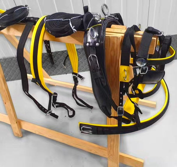Horse harness – Rainbow Saddles at Oberon Saddlery